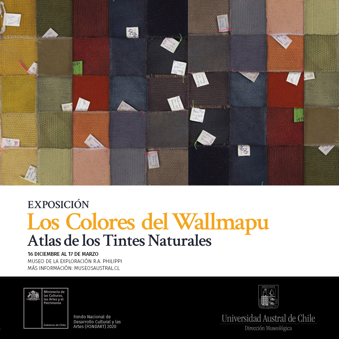 Los Colores del Wallmapu - Fundación Universo en Seis Colores